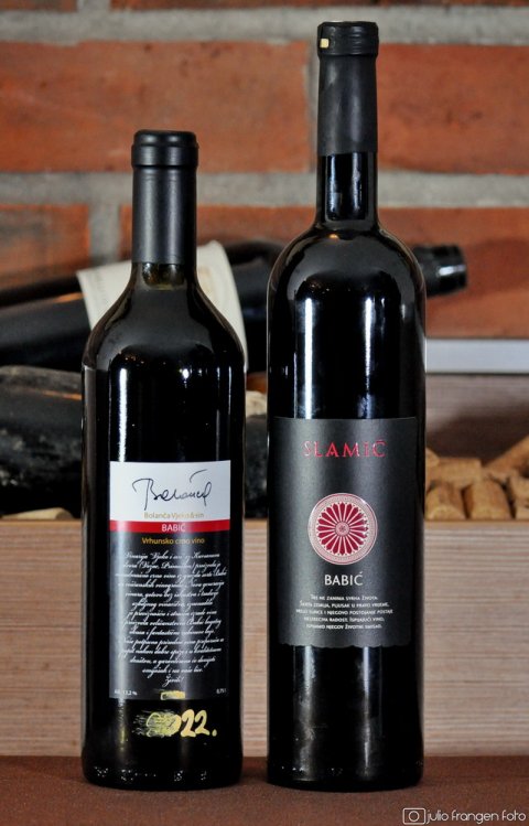 Nova vinska radionica - Babić Vs. Plavac mali! | FOTO FOODIE