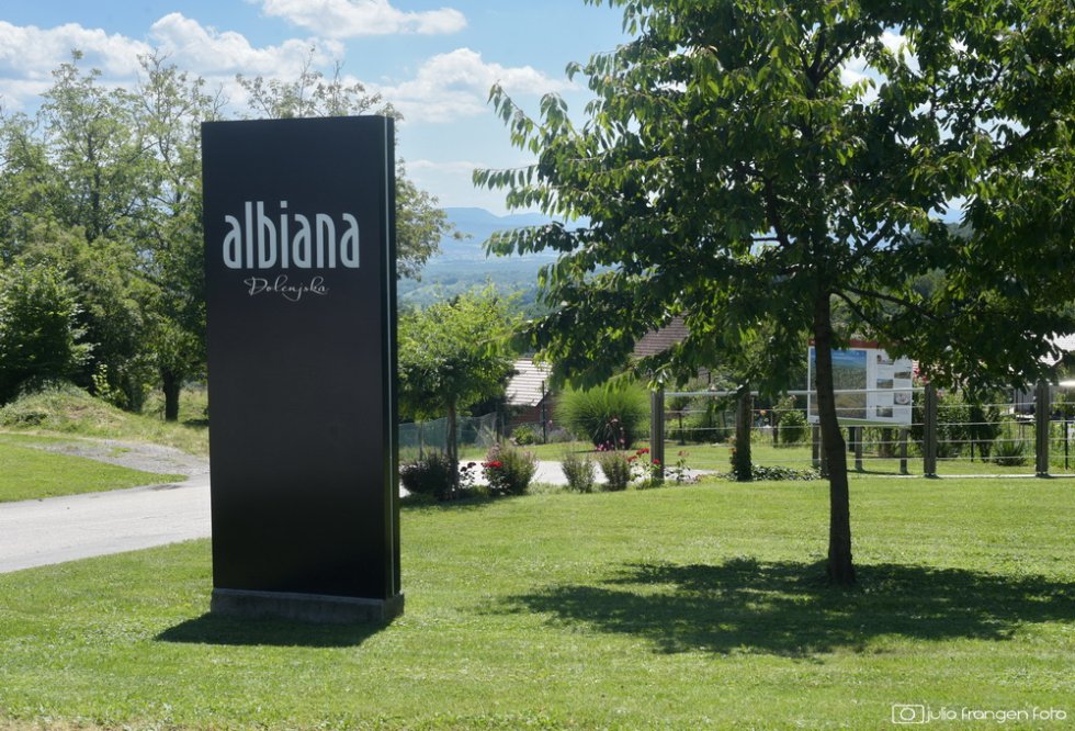 U posjetu vinariji Albiana! | FOTO FOODIE